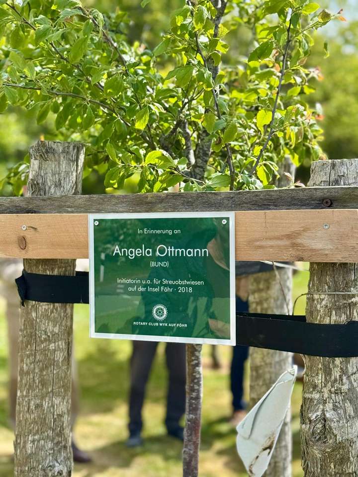 Rotary Club Wyk ehrt Angela Ottmann - Inselradio Föhr